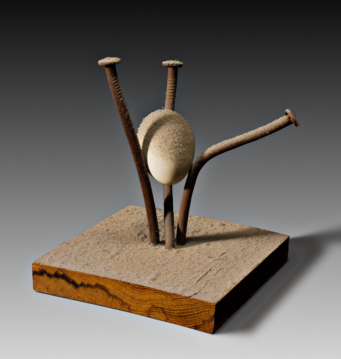 JAMES NAZZ – SeeMe