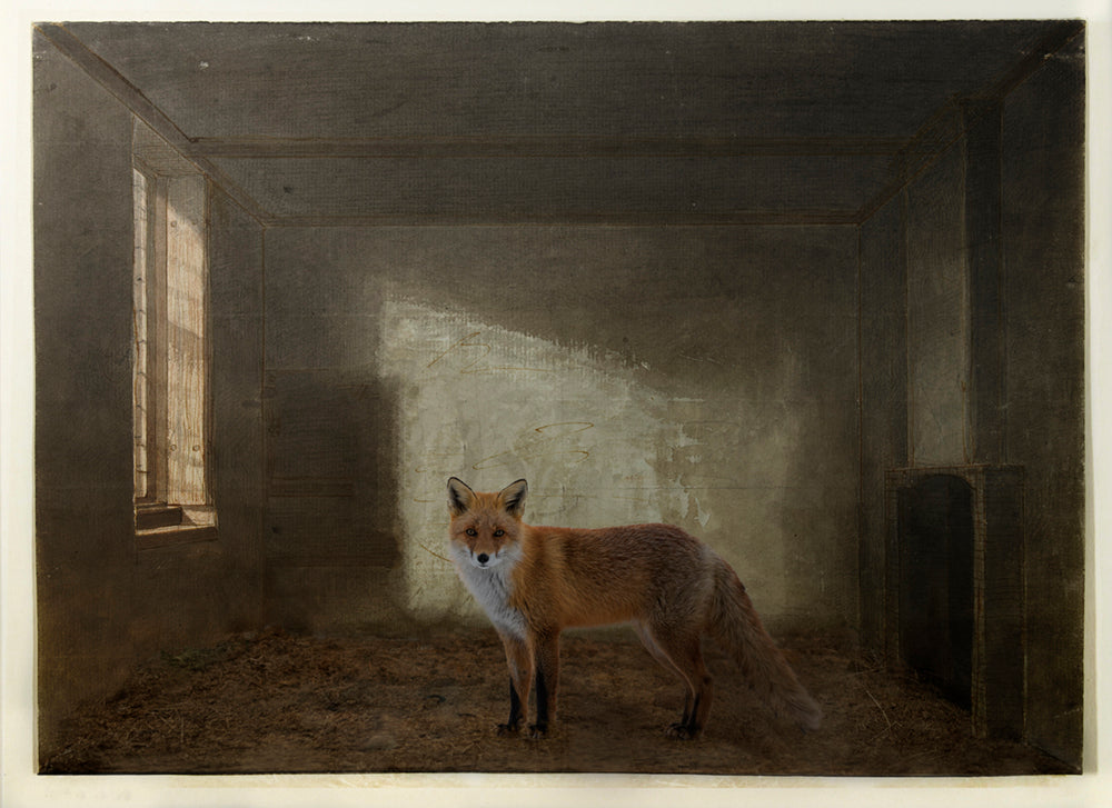Ann George, 'Mr. Fox', 2022 – SeeMe